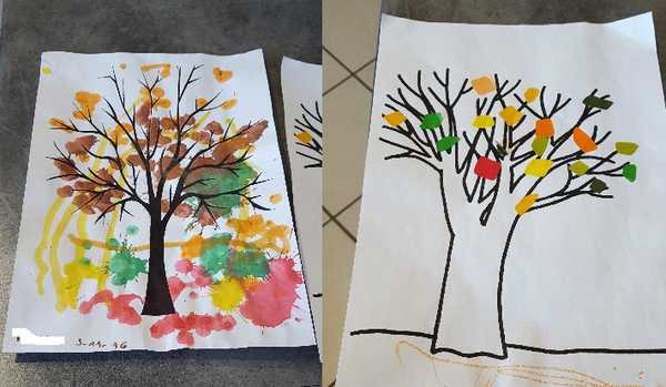 Activités du mois de novembre